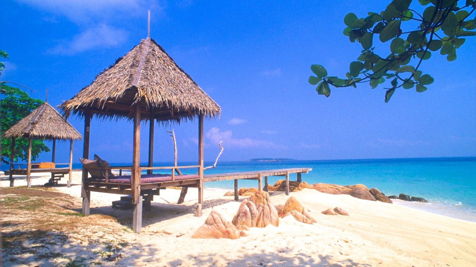 Protective coating specialist | Paint inspector certification | bgas